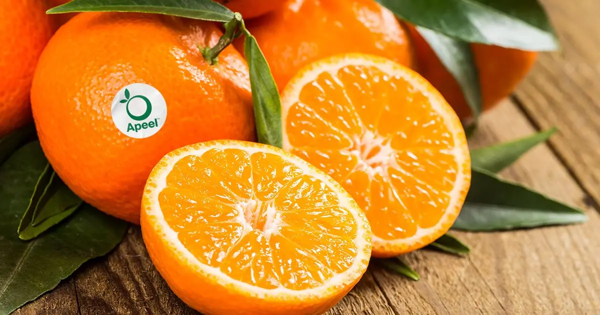 Al momento de comprar frutas, ponga atención a estos sellos