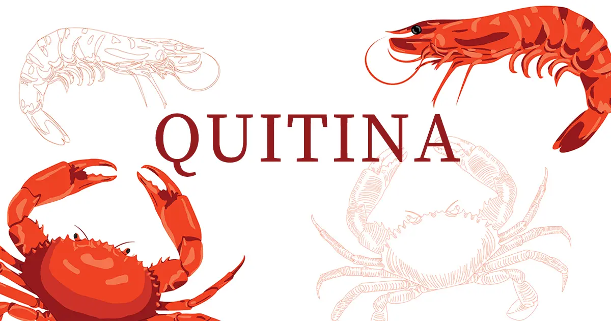 ¿Debería consumir quitina?