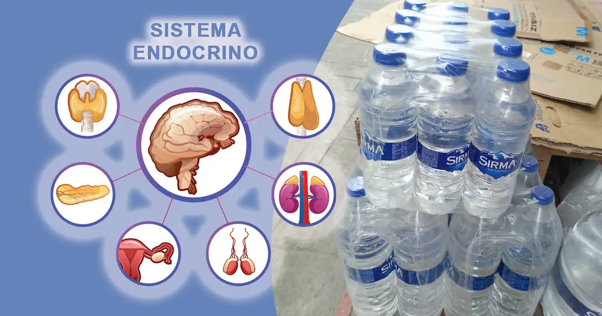 Cómo el BPA y BPS están enfermando a las personas