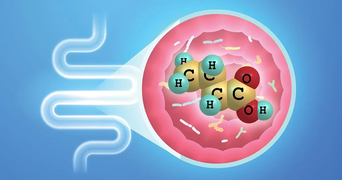 Los beneficios del butirato para la salud intestinal