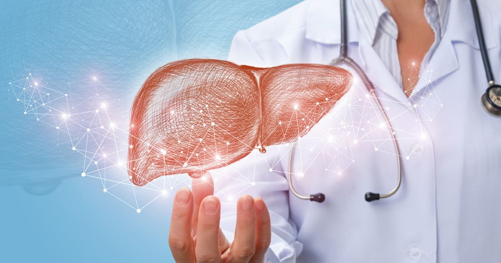 Aumente su conocimiento sobre la salud hepática